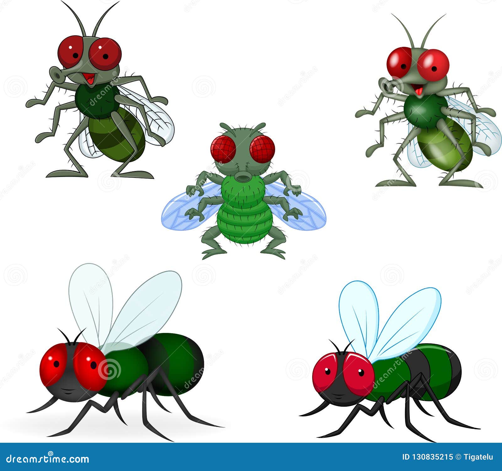 Cartoon Green Fly Collection Set Stock Vector - Illustration of animal ...