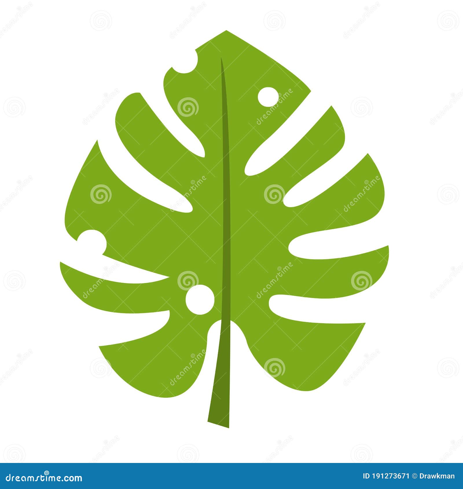 Cartoon Green Monstera Leaf Vector Illustration Isolated Stock Vector ...