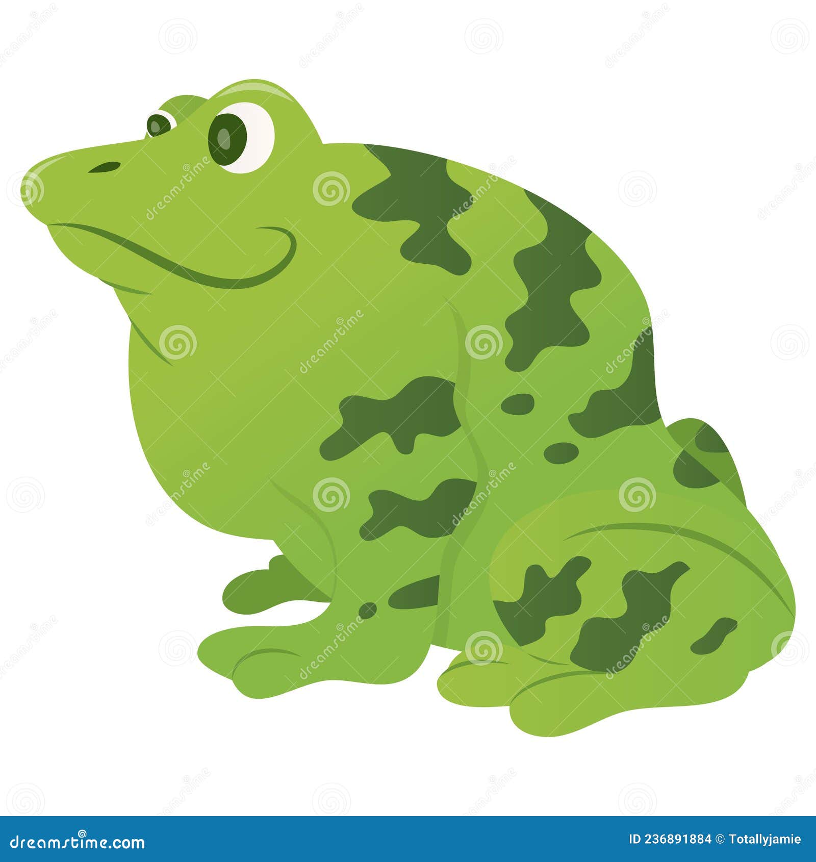 Cartoon Green Muscular Frog Stock Vector - Illustration of isolated ...