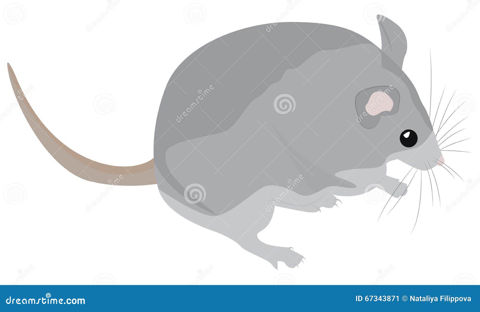 Cartoon grey mouse stock vector. Illustration of domestic - 67343871
