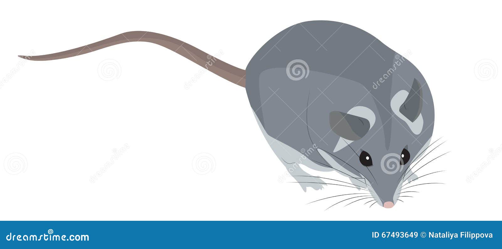Cartoon grey mouse stock vector. Illustration of grey - 67493649