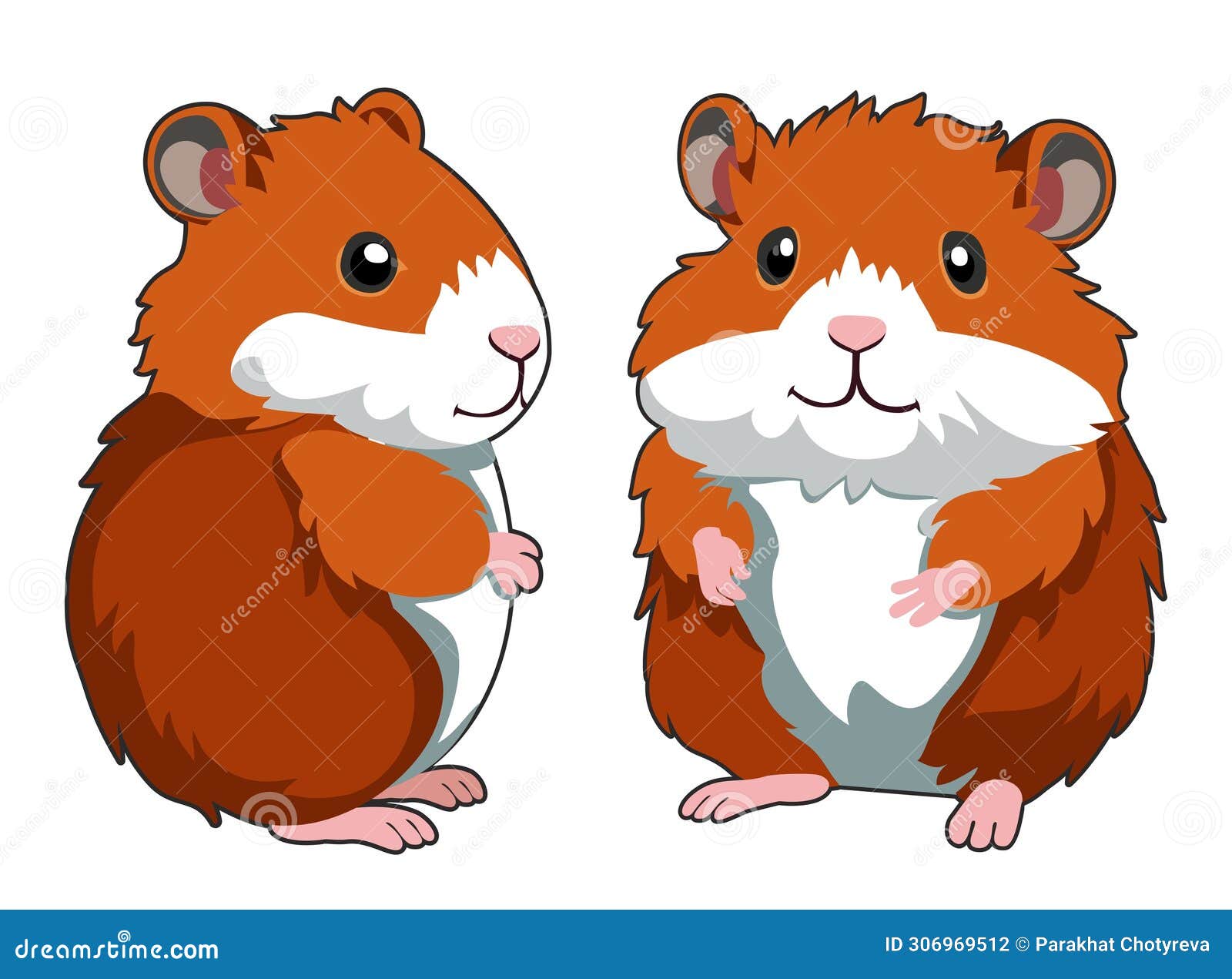 Hamster Cartoon, Pet, Vector. Two Front and Side Views. Stock Vector ...