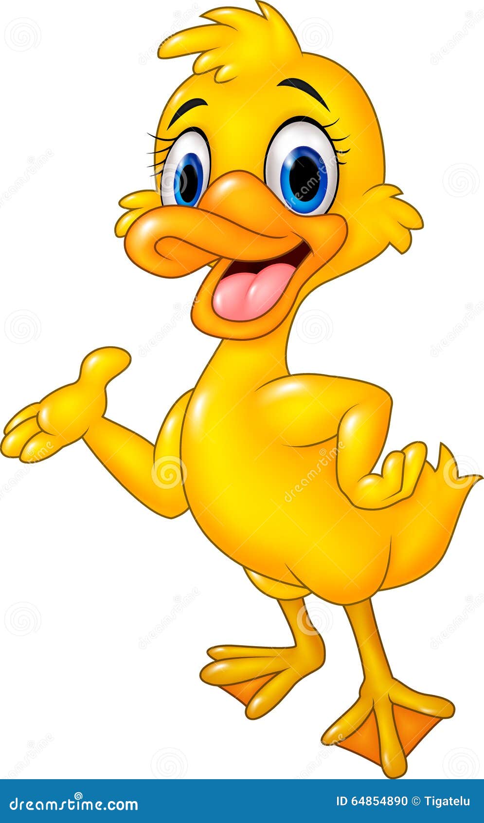 Cartoon Happy Duck Presenting Isolated On White Background Vector ...