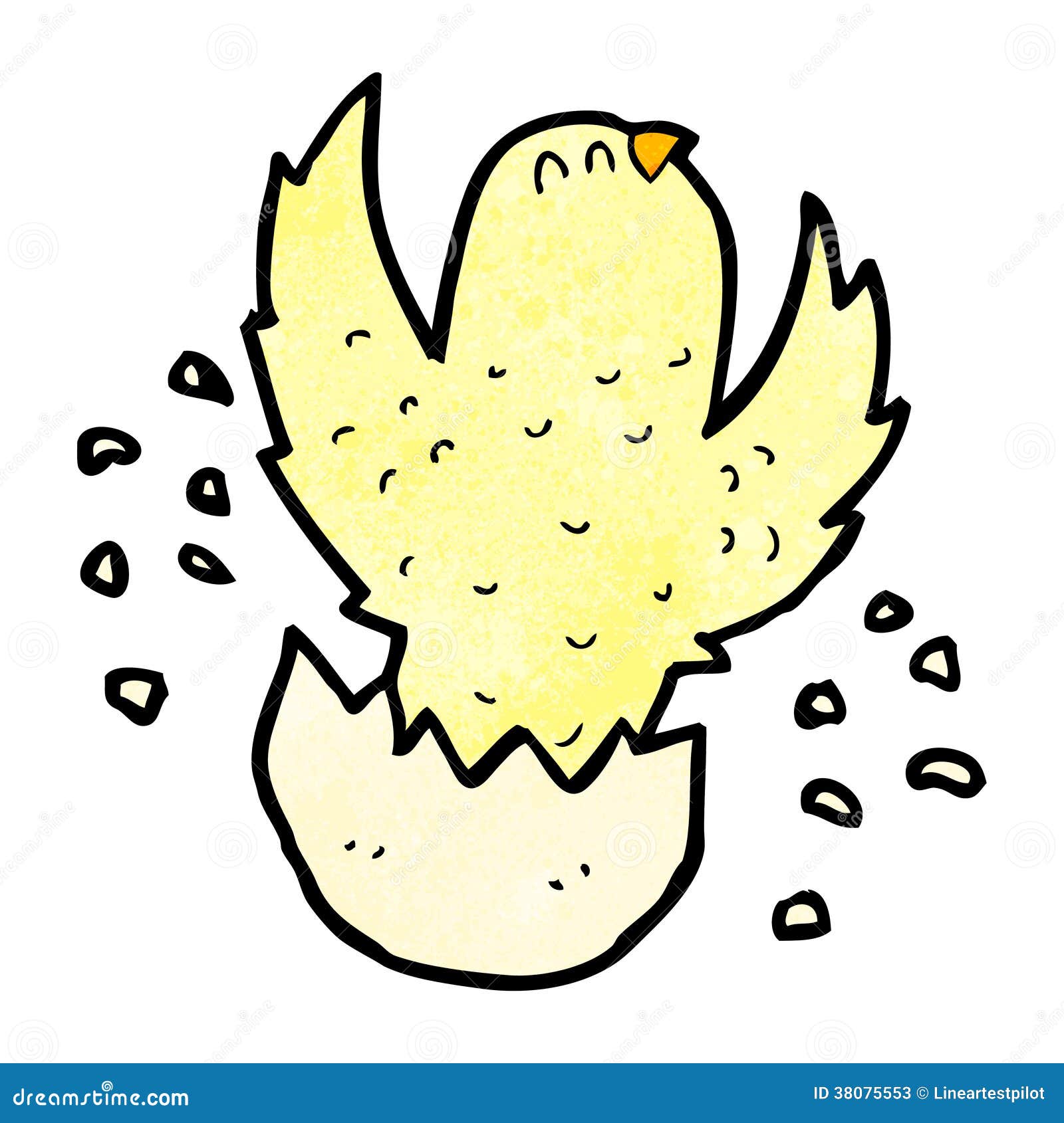 Cartoon hatching bird stock illustration. Illustration of quirky - 38075553