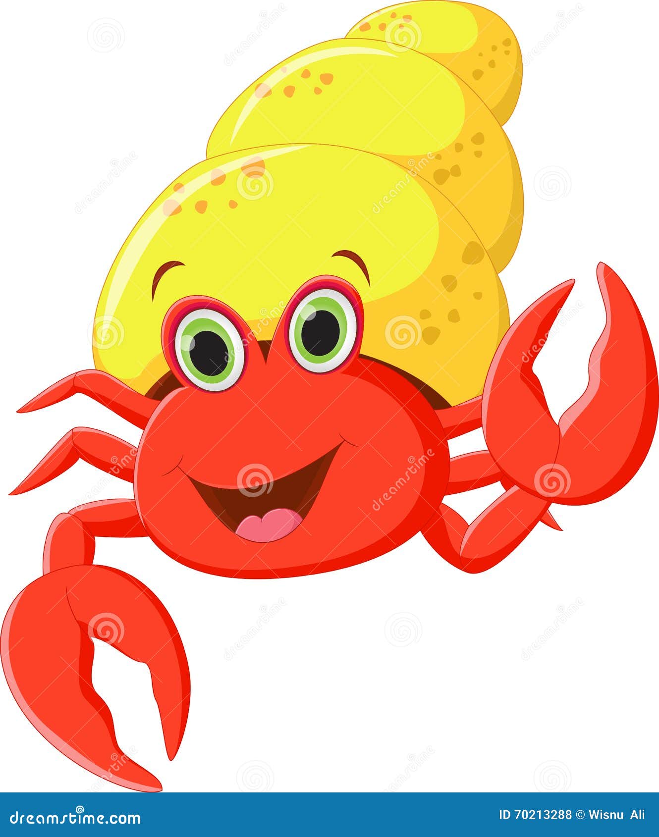 Cartoon Hermit Crab Isolated On White Background. Vector Close-up ...