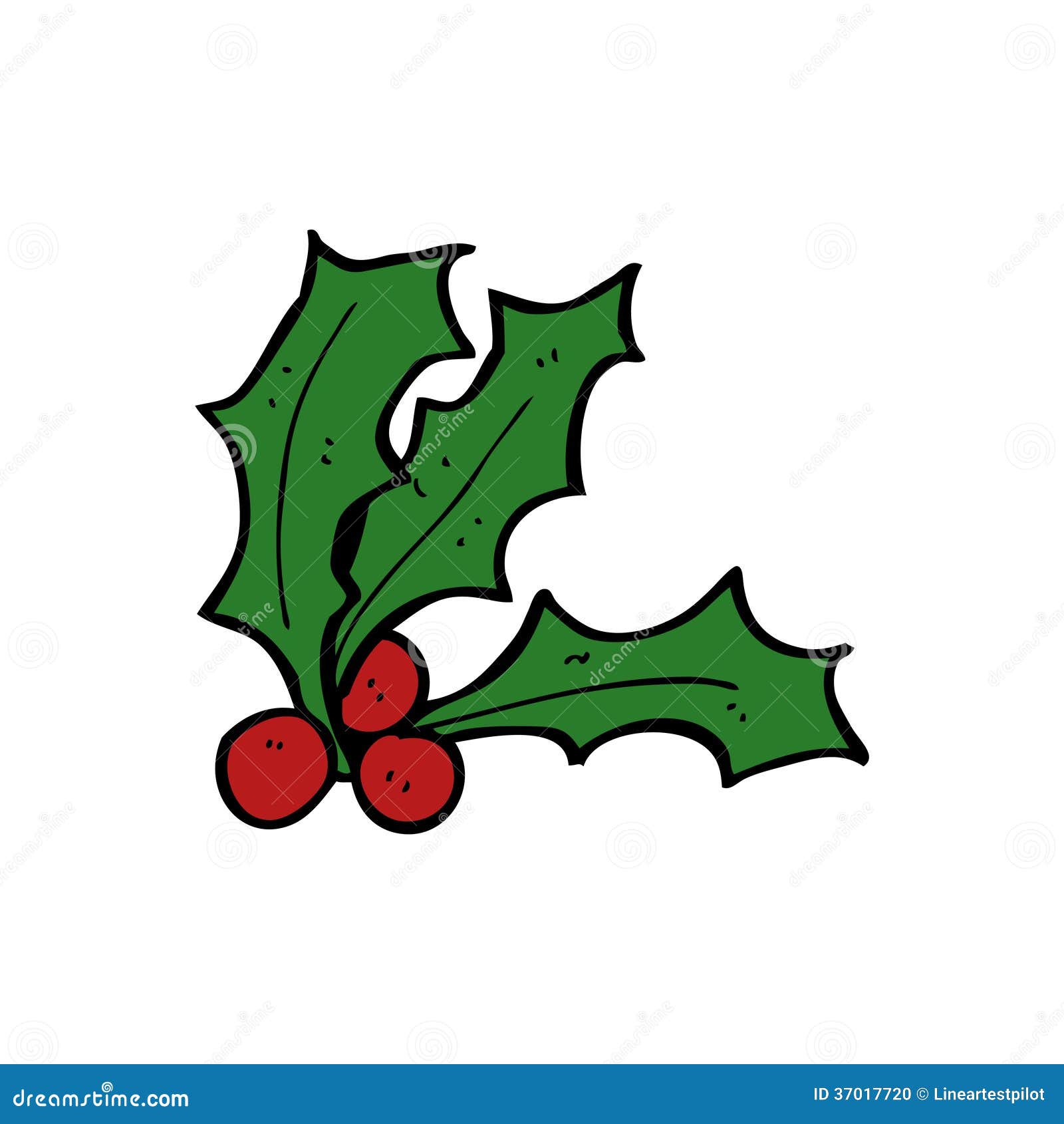 Cartoon holly stock vector. Illustration of drawn, clip - 37017720