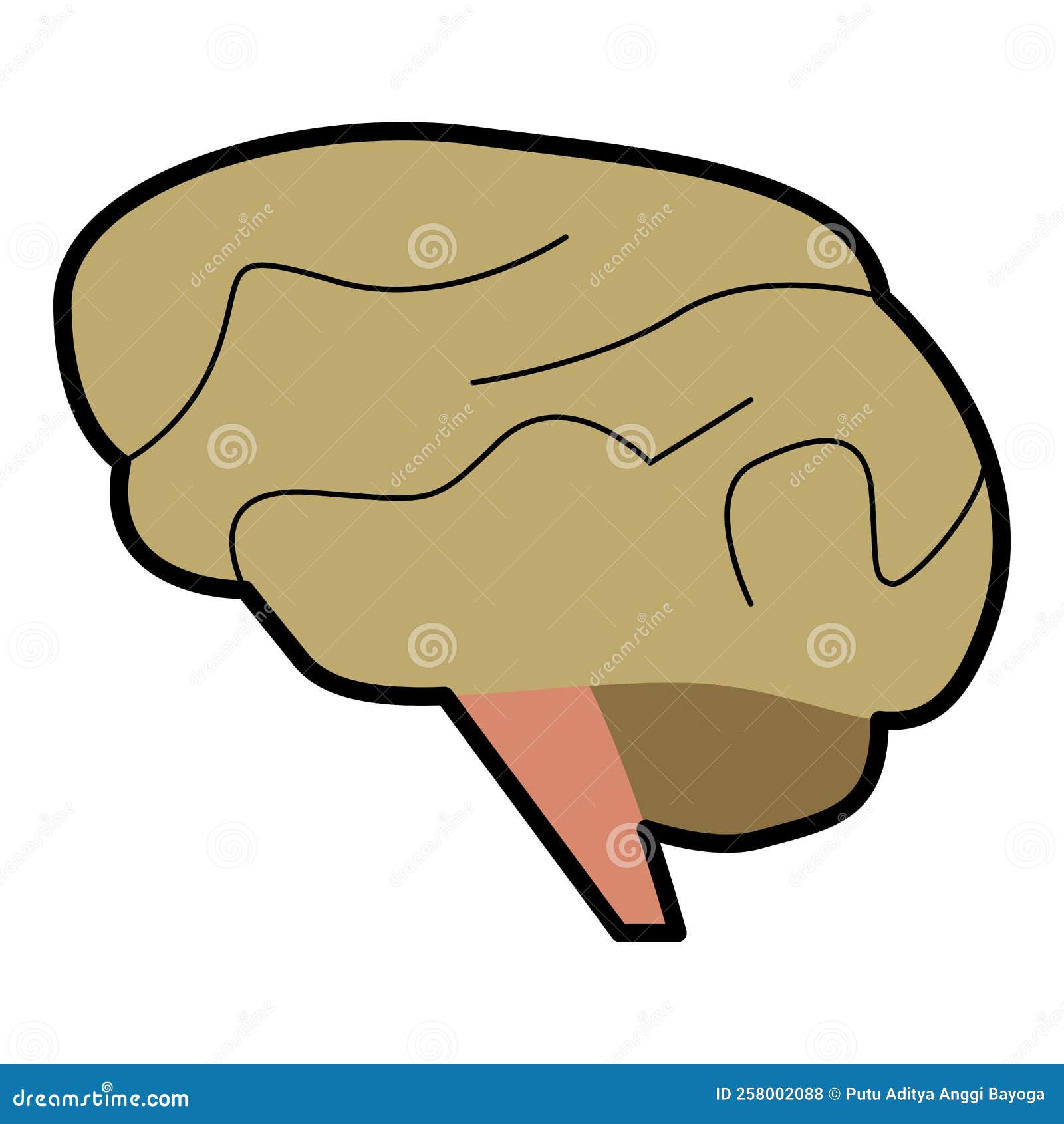 Cartoon brain stock vector. Illustration of human, vector - 258002088