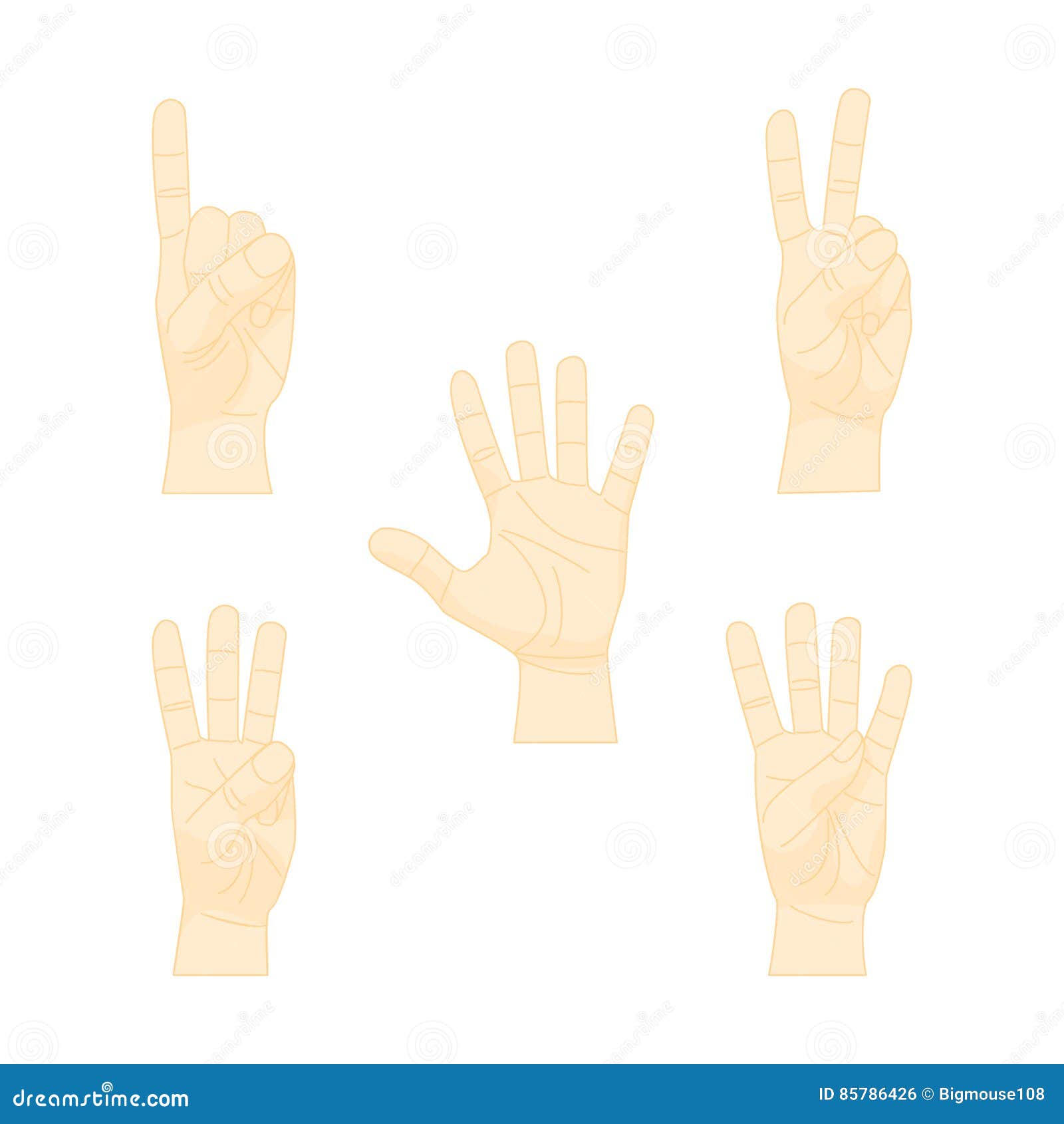 Cartoon Human Hand Showing Numbers Set. Vector Stock Vector ...