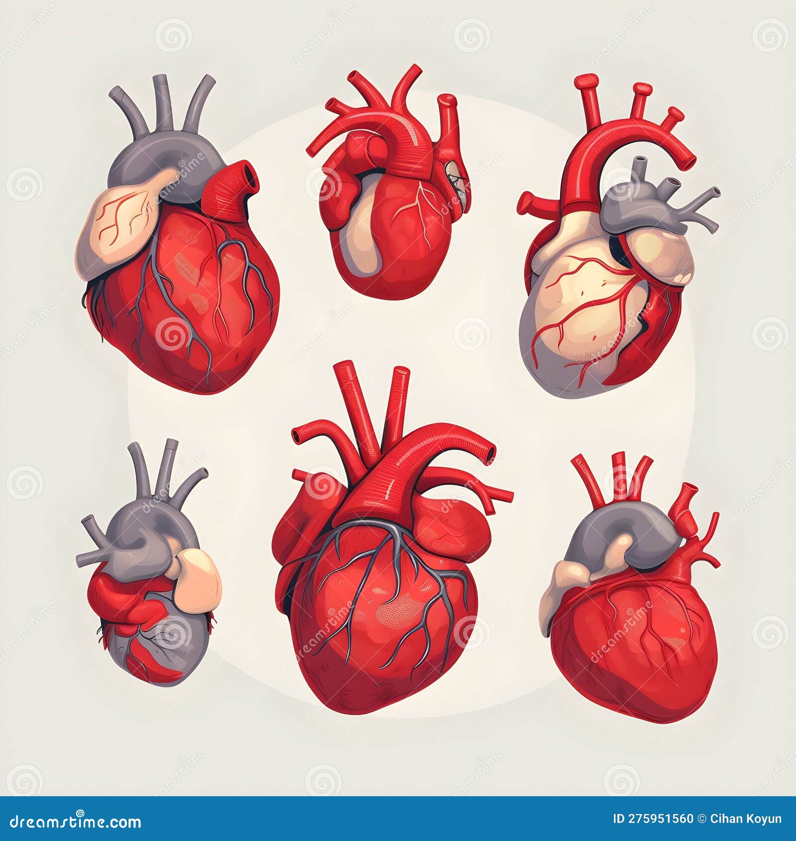 Cartoon Human Heart, Cartoon Organs, Heart Cartoon, 3d Illustration ...