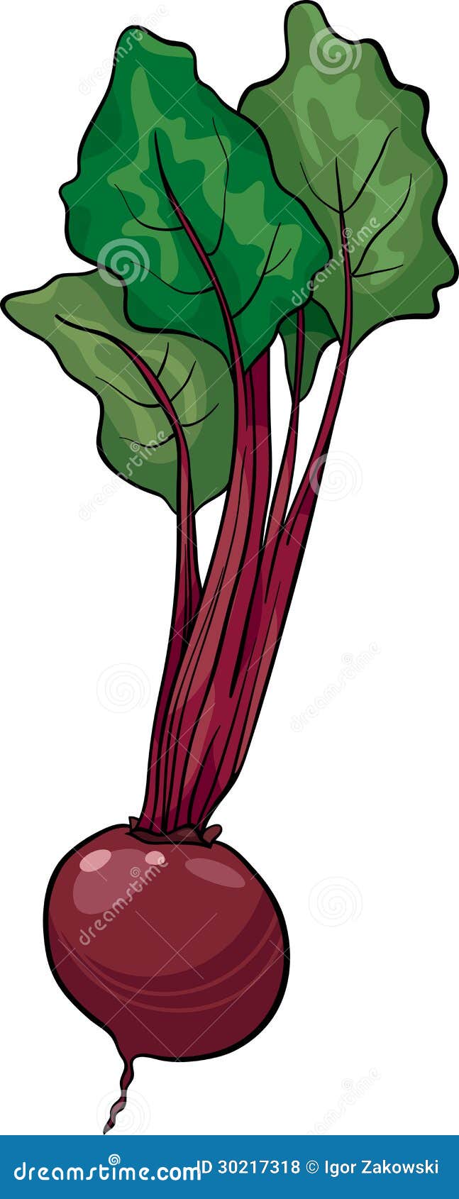 Beet Vegetable Cartoon Illustration Stock Vector - Illustration of diet ...