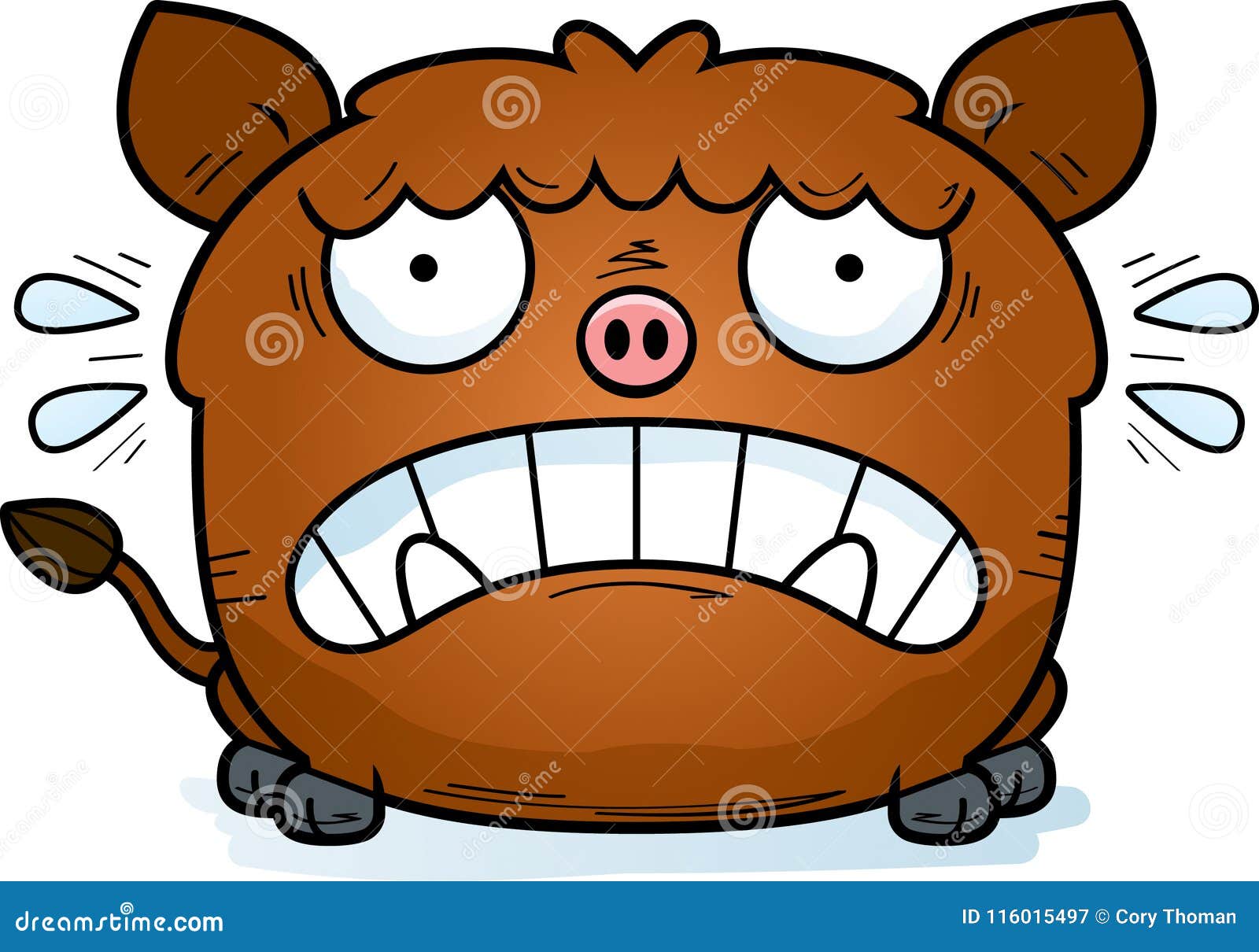 Scared Little Boar stock vector. Illustration of boar - 116015497