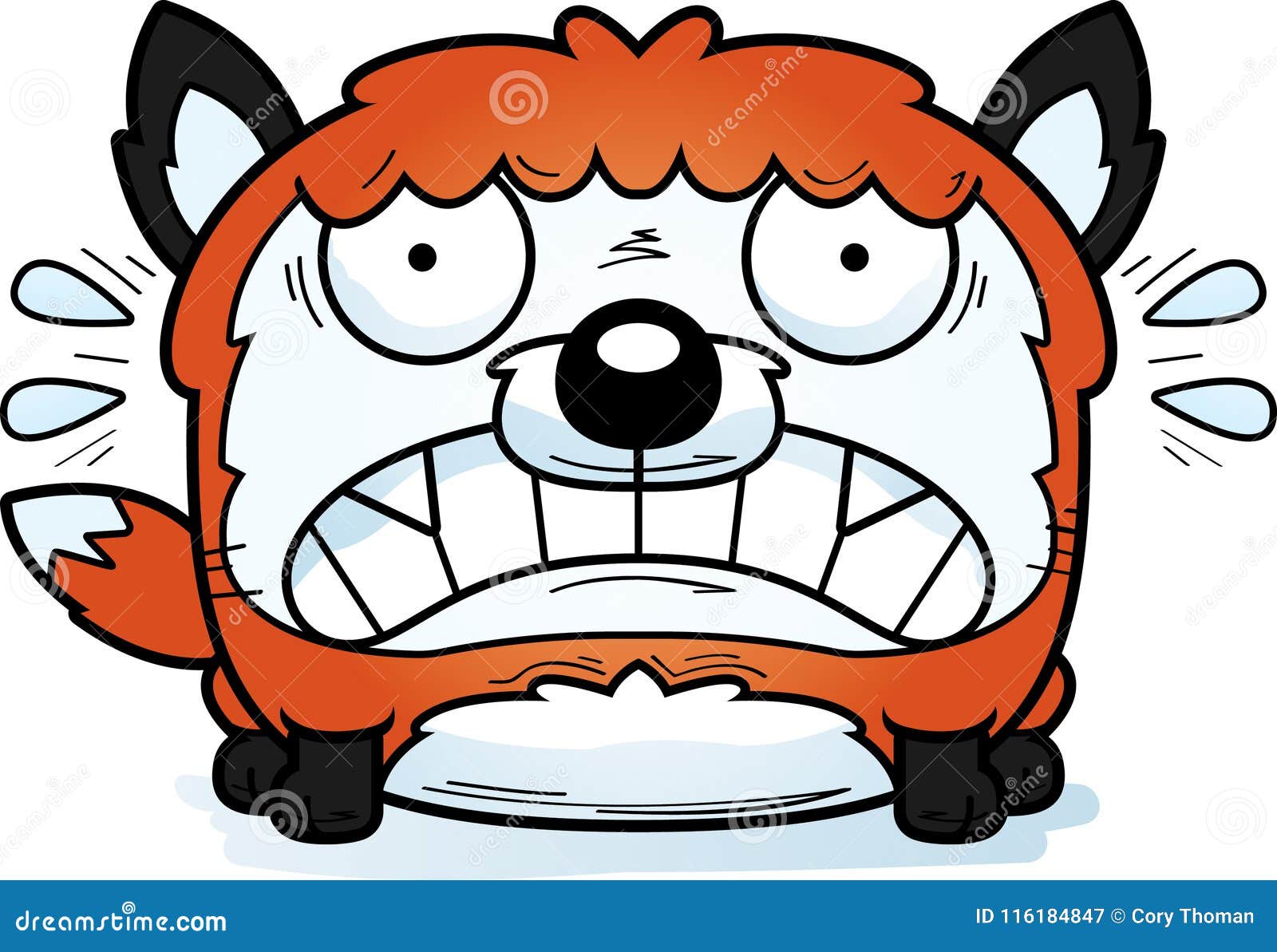 Scared Cartoon Fox stock vector. Illustration of cartoon - 116184847
