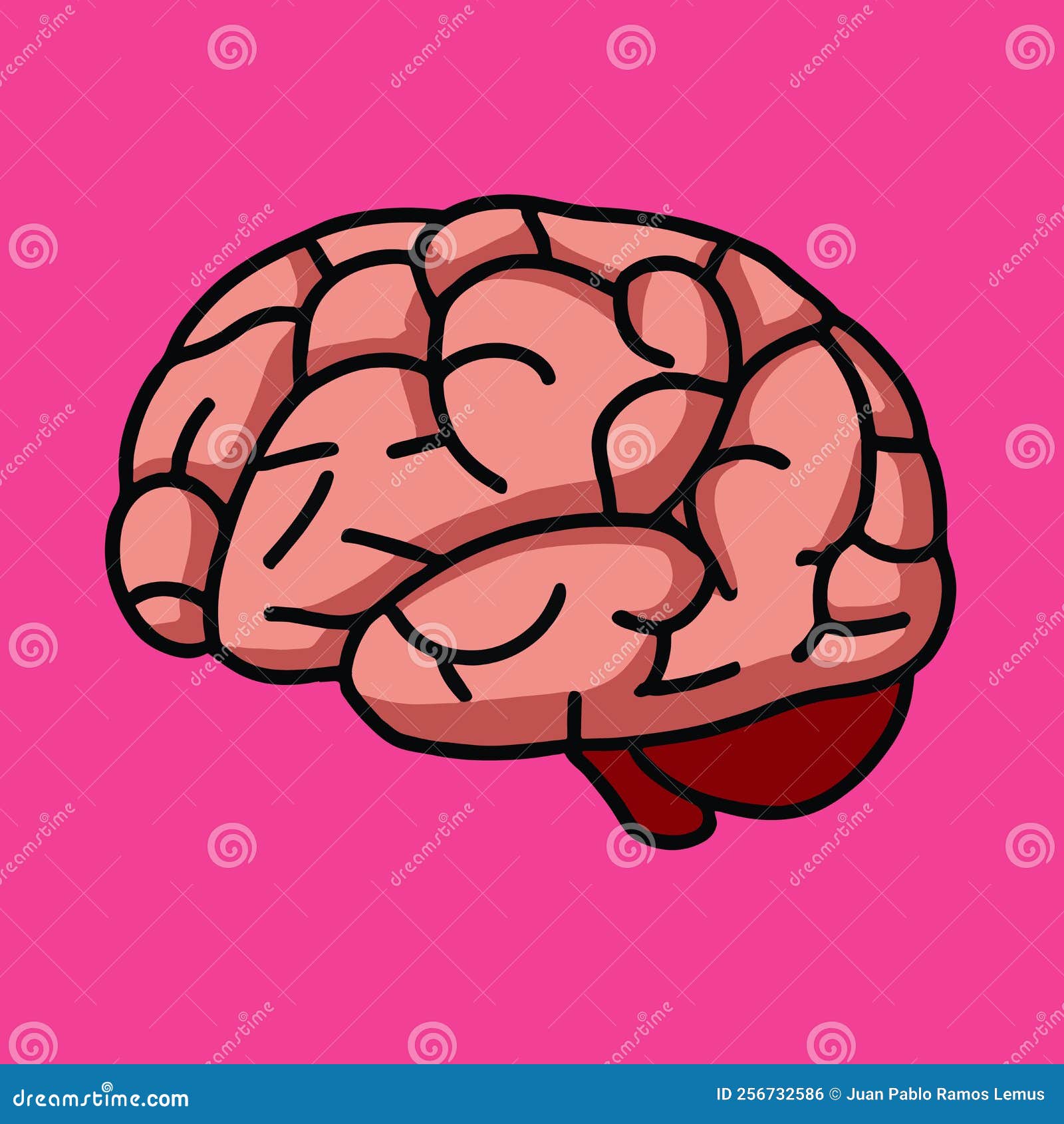 Cartoon Illustration of Human Brain Stock Illustration - Illustration ...