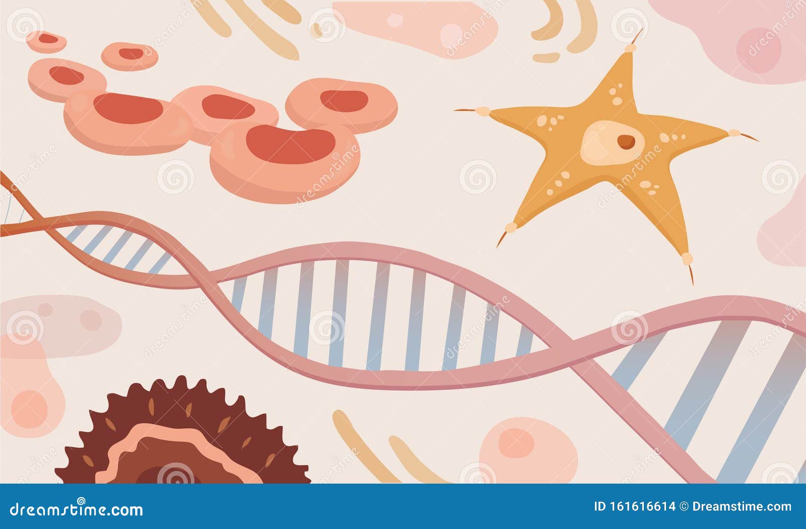 Cartoon of human cells stock illustration. Illustration of vein - 161616614