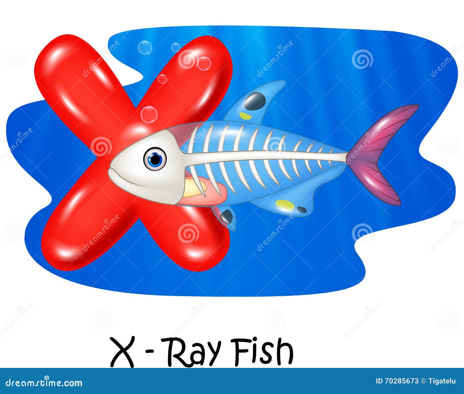 Cartoon X Ray Fish