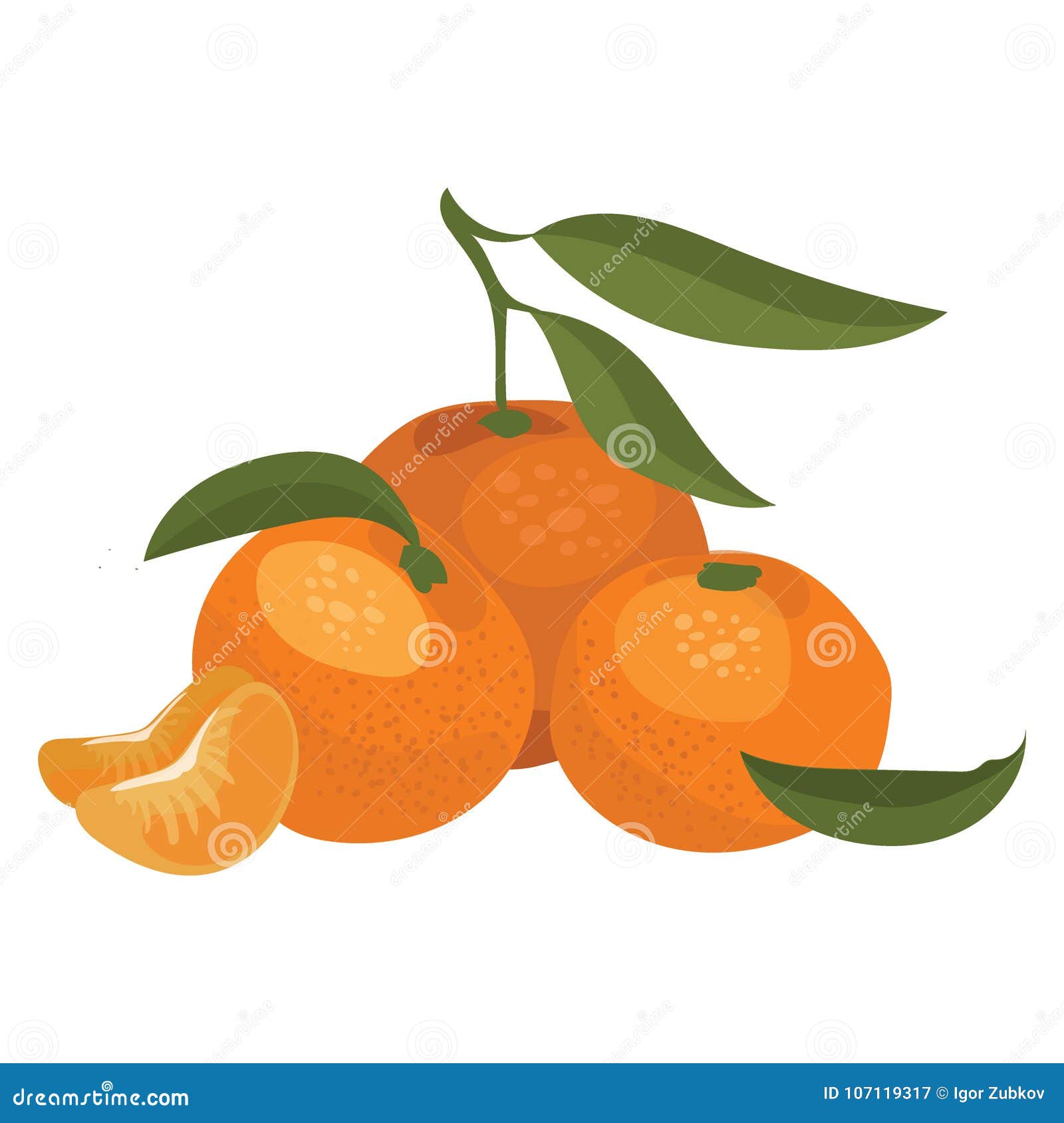 Cartoon Illustration of a Mandarin. Vector Illustration of Oranges on a ...