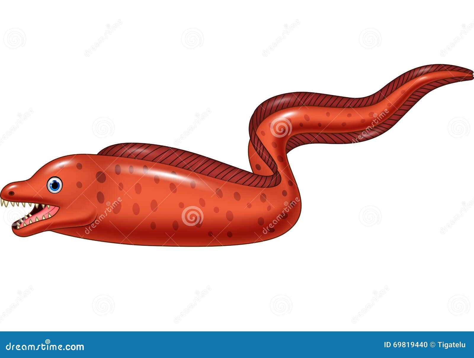 Eel Cartoons, Illustrations & Vector Stock Images - 12185 Pictures to ...