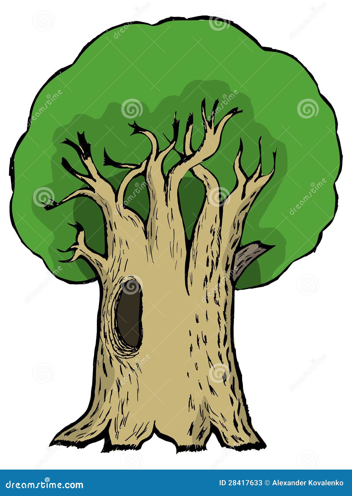 Cartoon Illustration of Oak Stock Vector - Illustration of nature ...