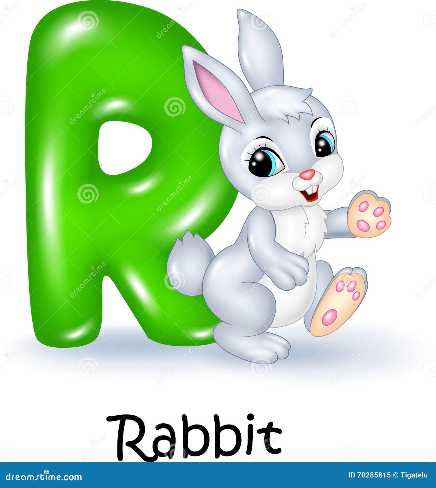 Letter R Rabbit Zoo Alphabet. English Abc With Animals Education Cards ...