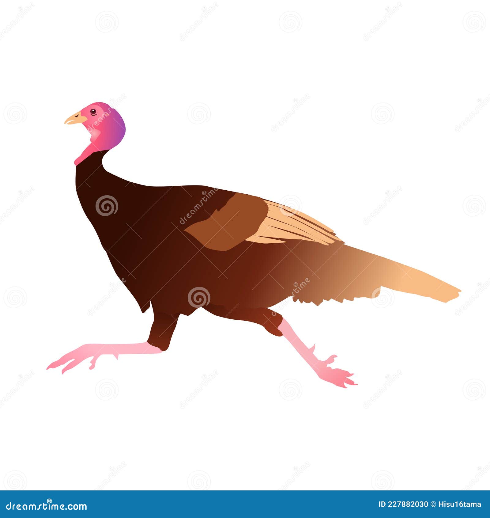 Cartoon Illustration of Running Turkey, Vector Stock Vector ...