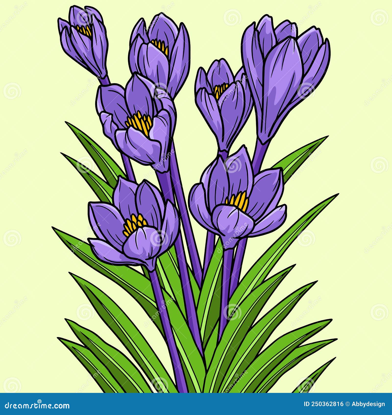 Crocus Flower Colored Cartoon Illustration Stock Vector - Illustration ...