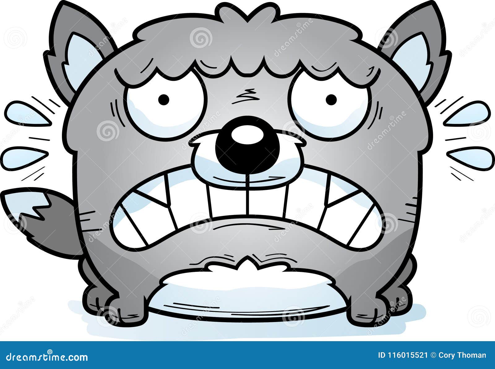 Terrified Little Wolf stock vector. Illustration of vector - 116015521