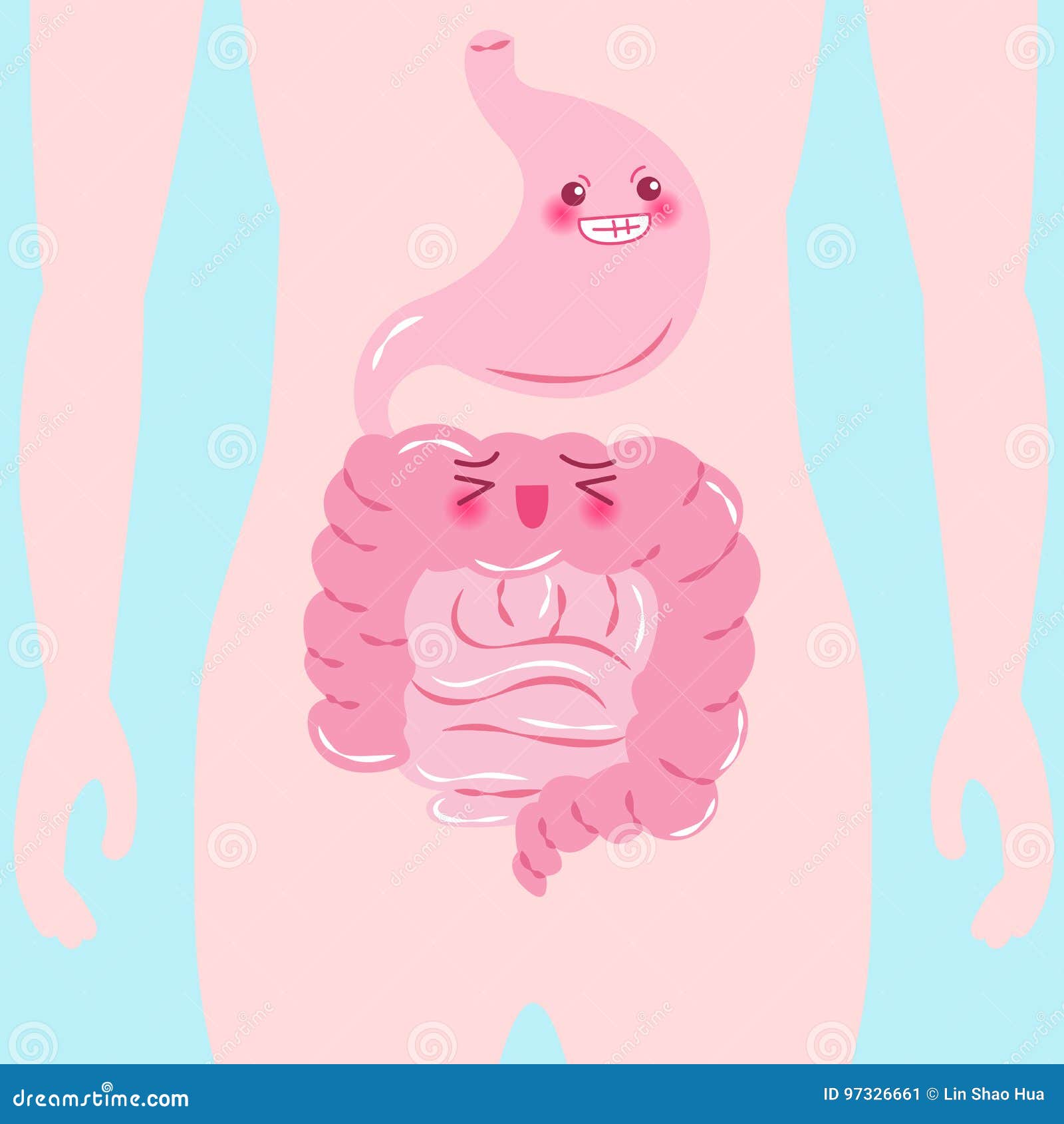 Cartoon Intestine and Stomach Stock Vector - Illustration of graph ...