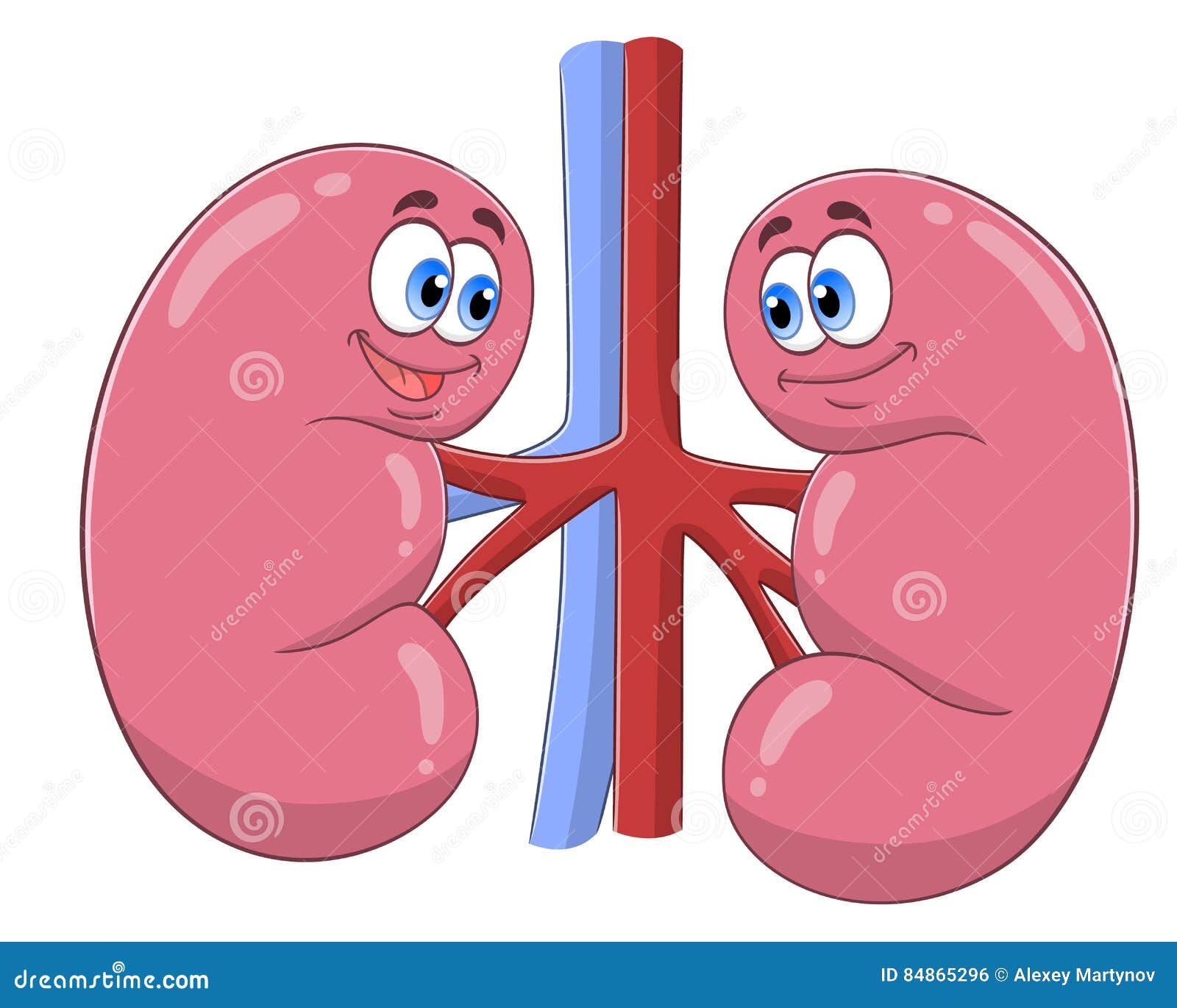 Cartoon kidneys stock vector. Illustration of medicine - 84865296