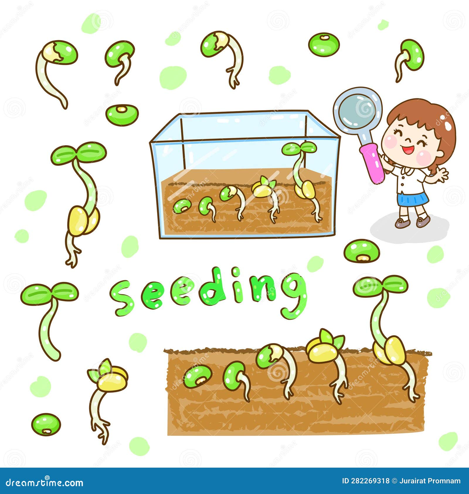 Cartoon Kids and Seeding Vector. Stock Illustration - Illustration of ...