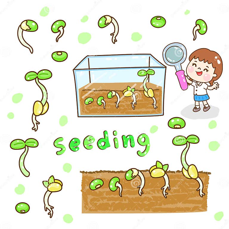 Cartoon Kids and Seeding Vector. Stock Illustration - Illustration of ...