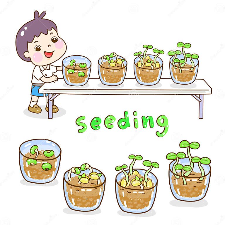 Cartoon Kids and Seeding Vector. Stock Illustration - Illustration of ...
