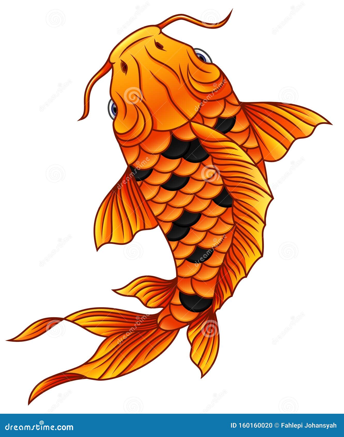 Cartoon Koi Fish Swimming on White Background Stock Vector ...