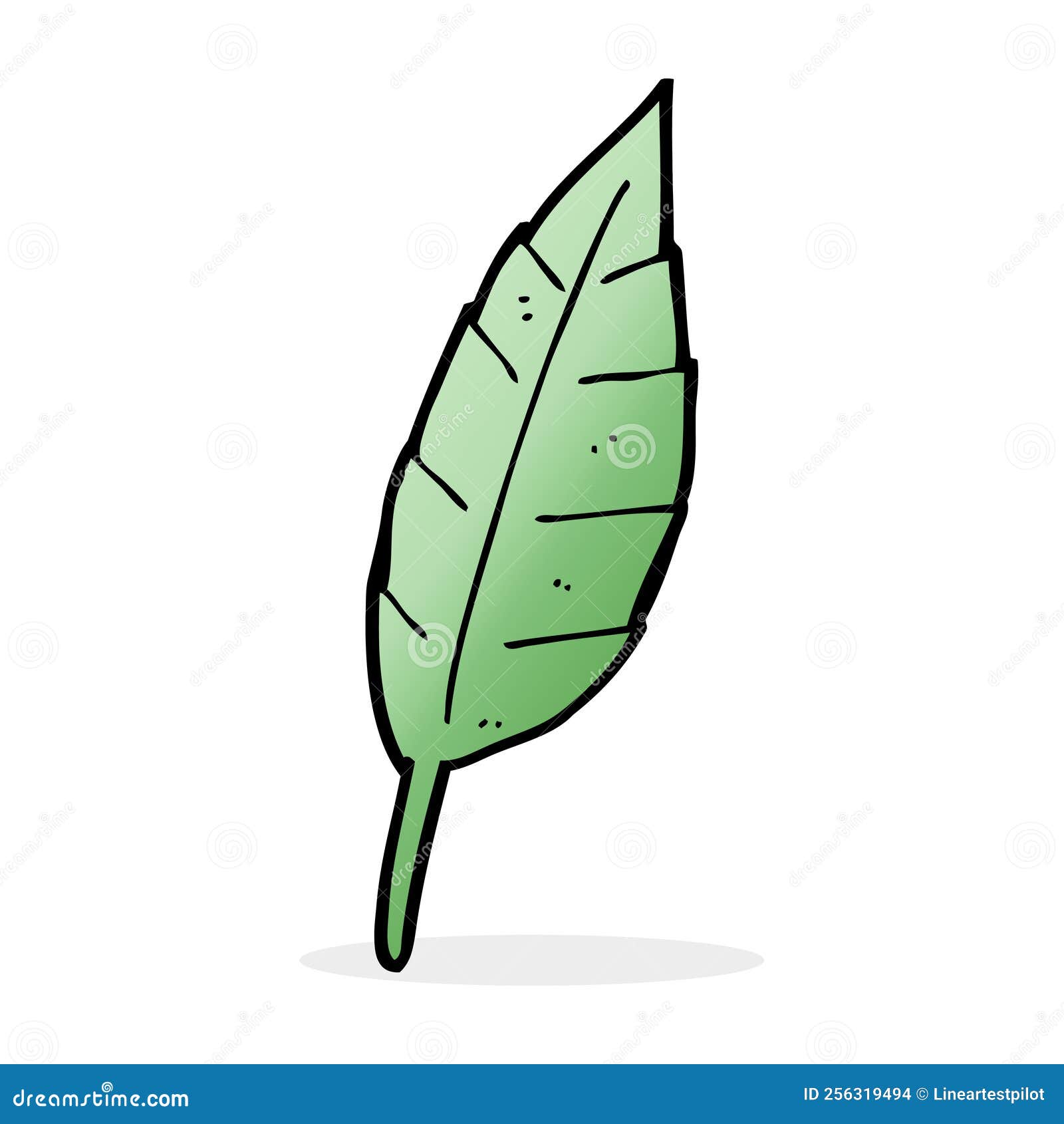 Cartoon Leaf Picture. Image: 256319494