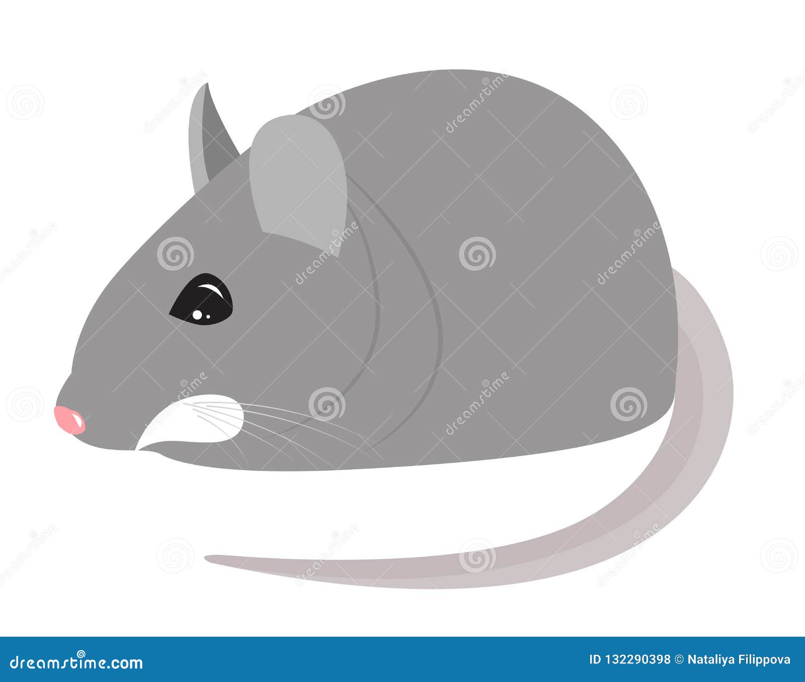 Little grey mouse stock vector. Illustration of domestic - 132290398