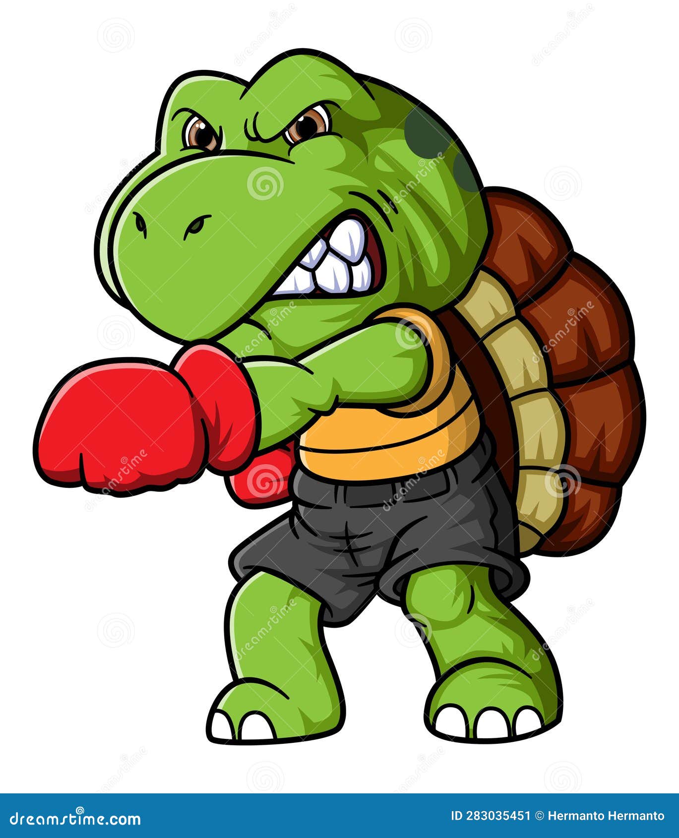 Cartoon Little Turtle Training Boxing Stock Vector - Illustration of ...