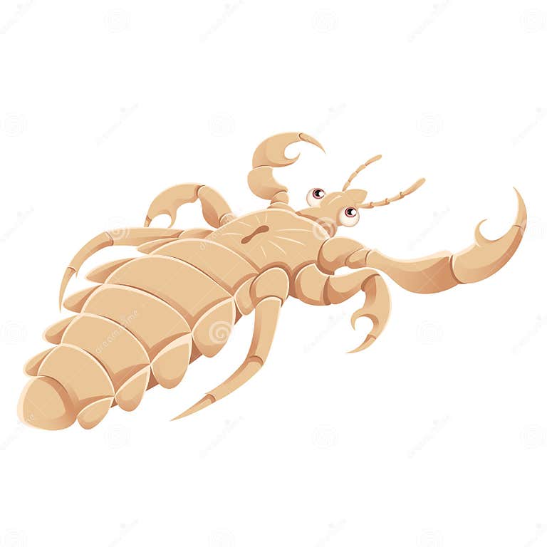 Cartoon Louse stock vector. Illustration of hair, parasitic - 60726870