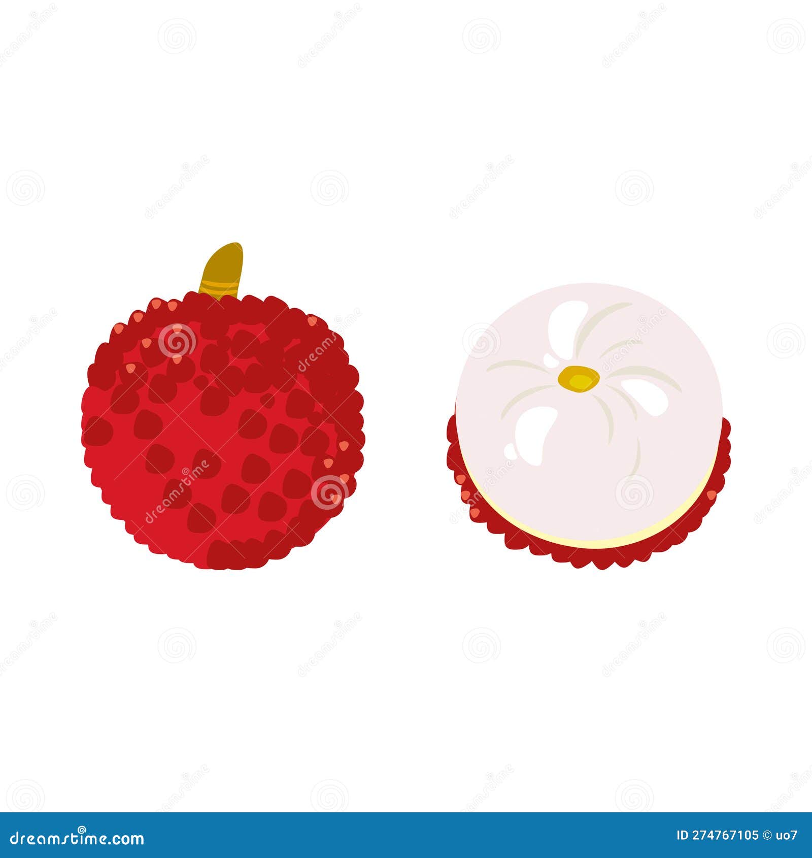 Cartoon Lychee Or Litchi Fruit Flat Vector Illustration, Litchee Icon ...