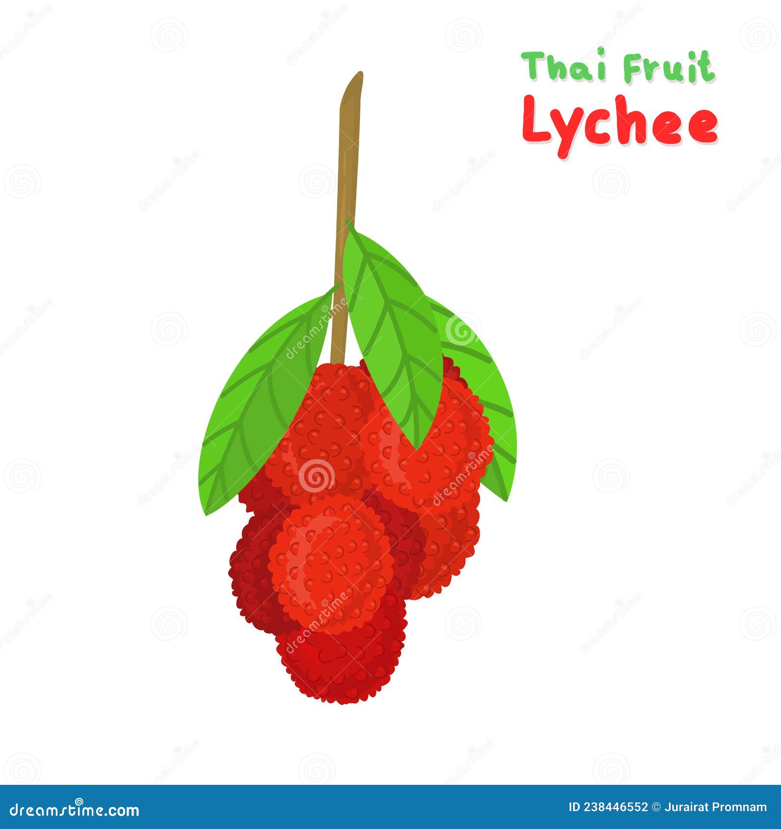 Cartoon Lychee Vector on Background. Stock Vector - Illustration of ...