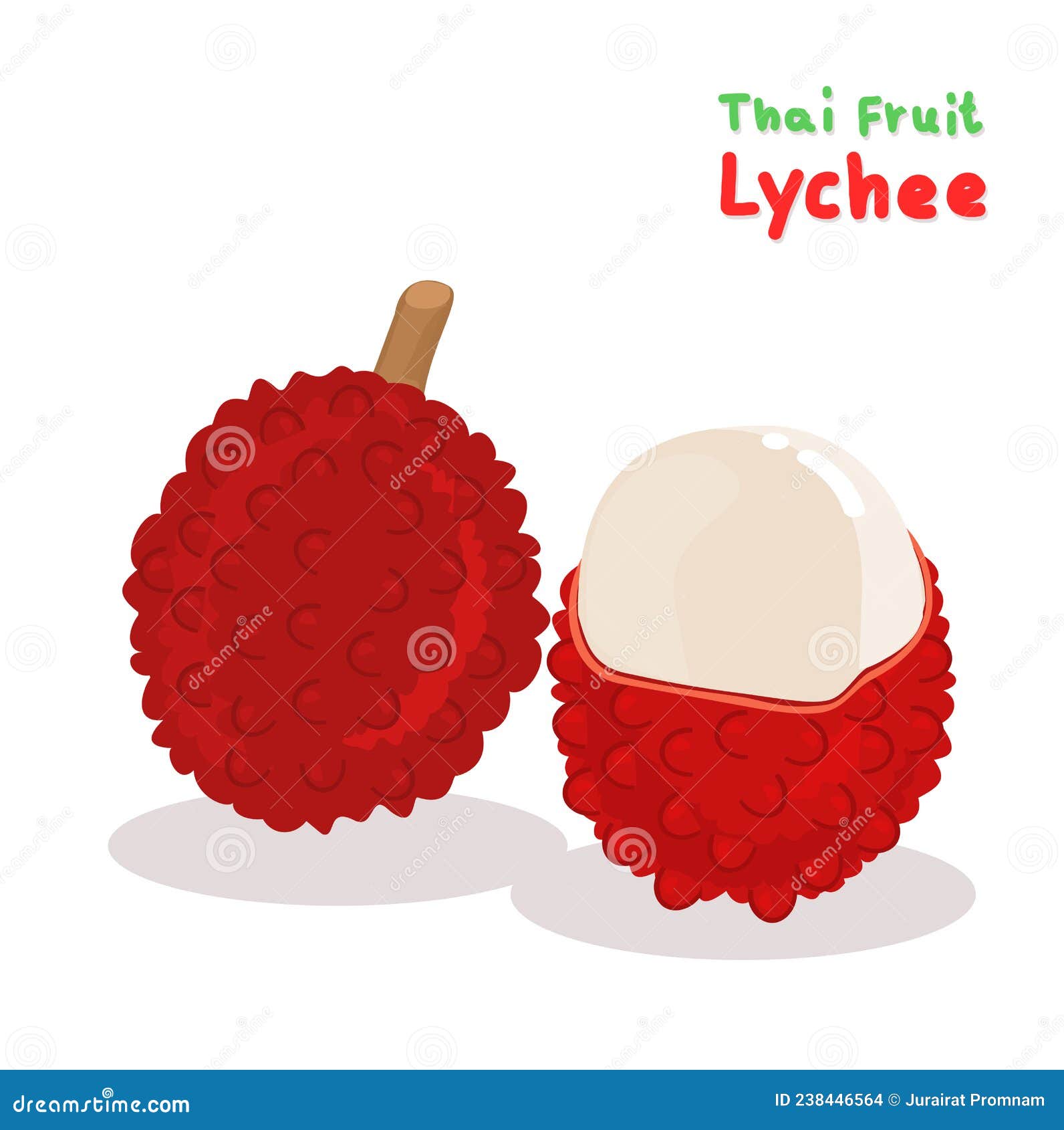 Cartoon Lychee Vector on Background. Stock Vector - Illustration of ...