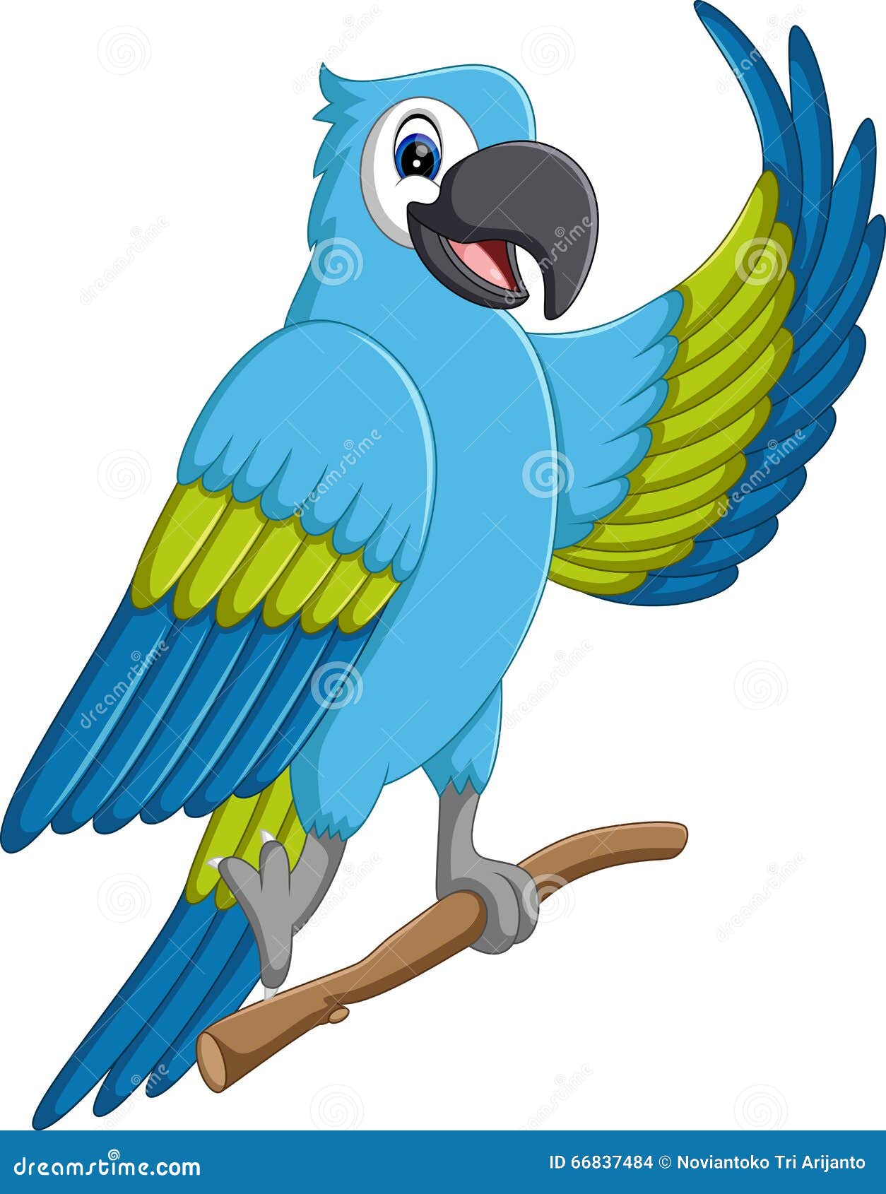 Cartoon macaw stock vector. Illustration of cute, furry - 66837484