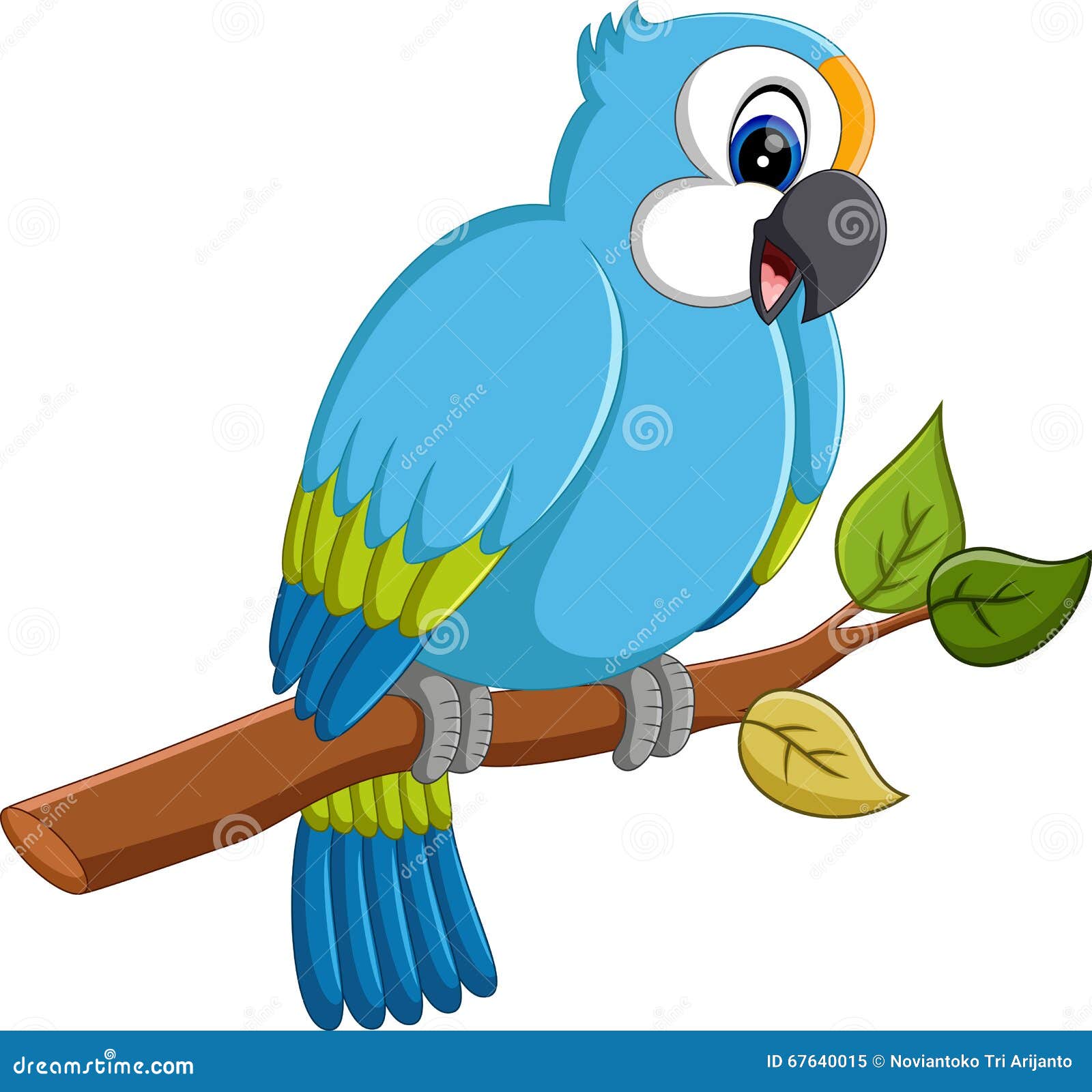 Cartoon macaw stock vector. Illustration of bird, happy - 67640015