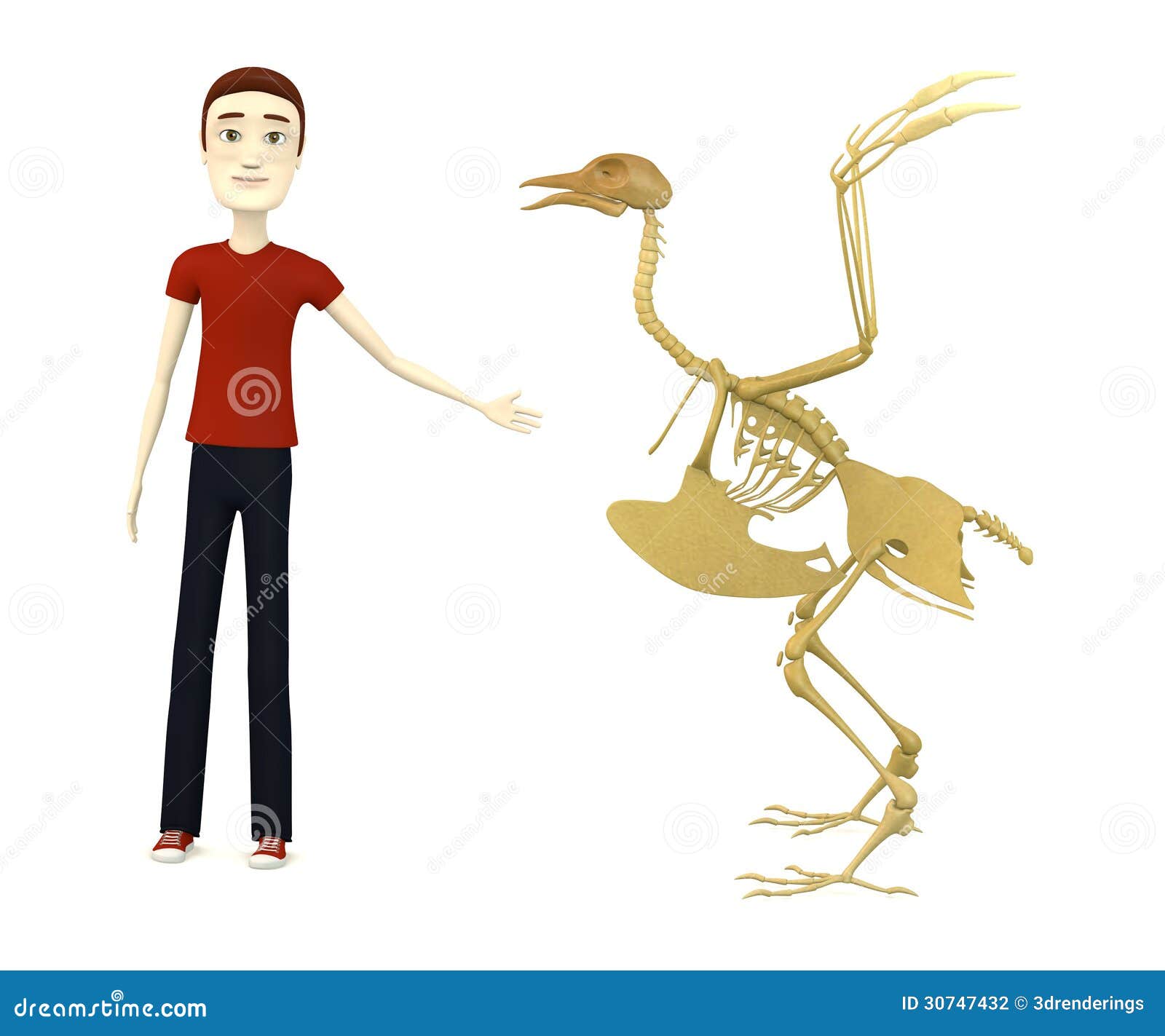 Cartoon Man with Bird Skeleton Stock Illustration - Illustration of ...