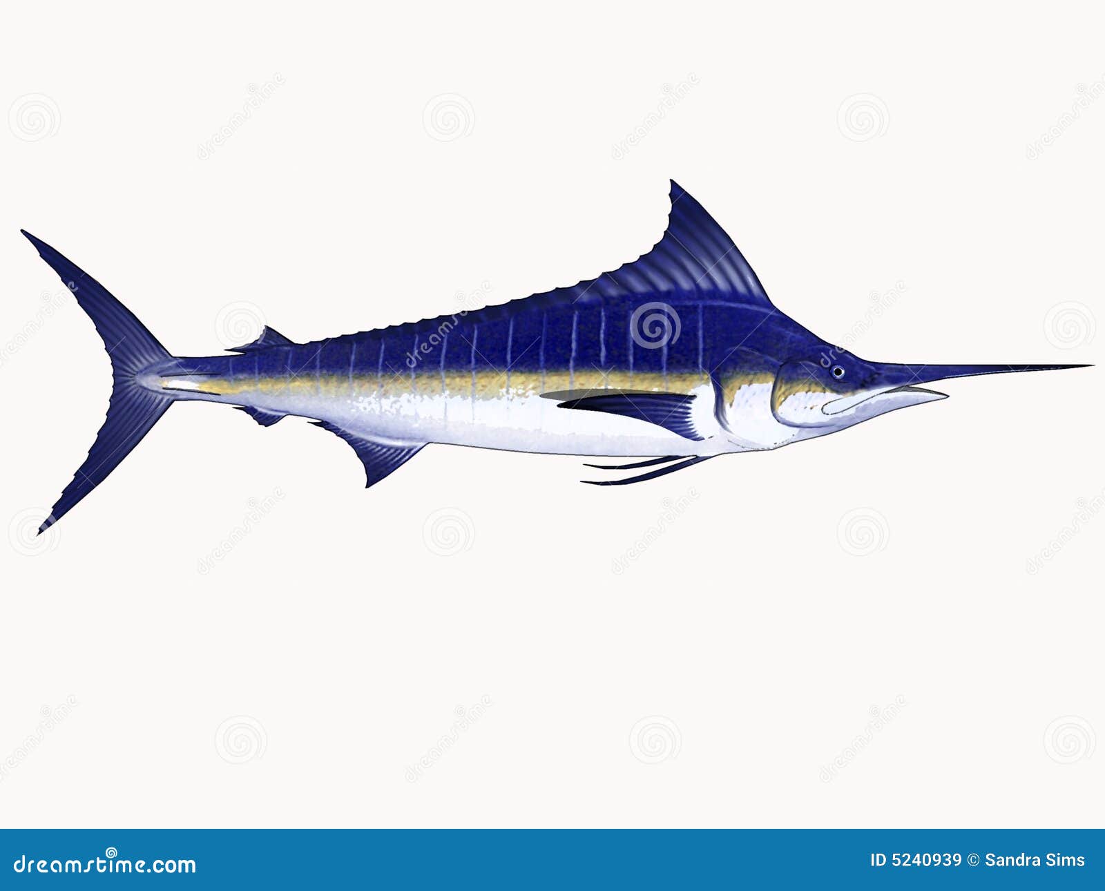 A Cartoon Marlin Fish Vector Or Color Illustration | CartoonDealer.com ...