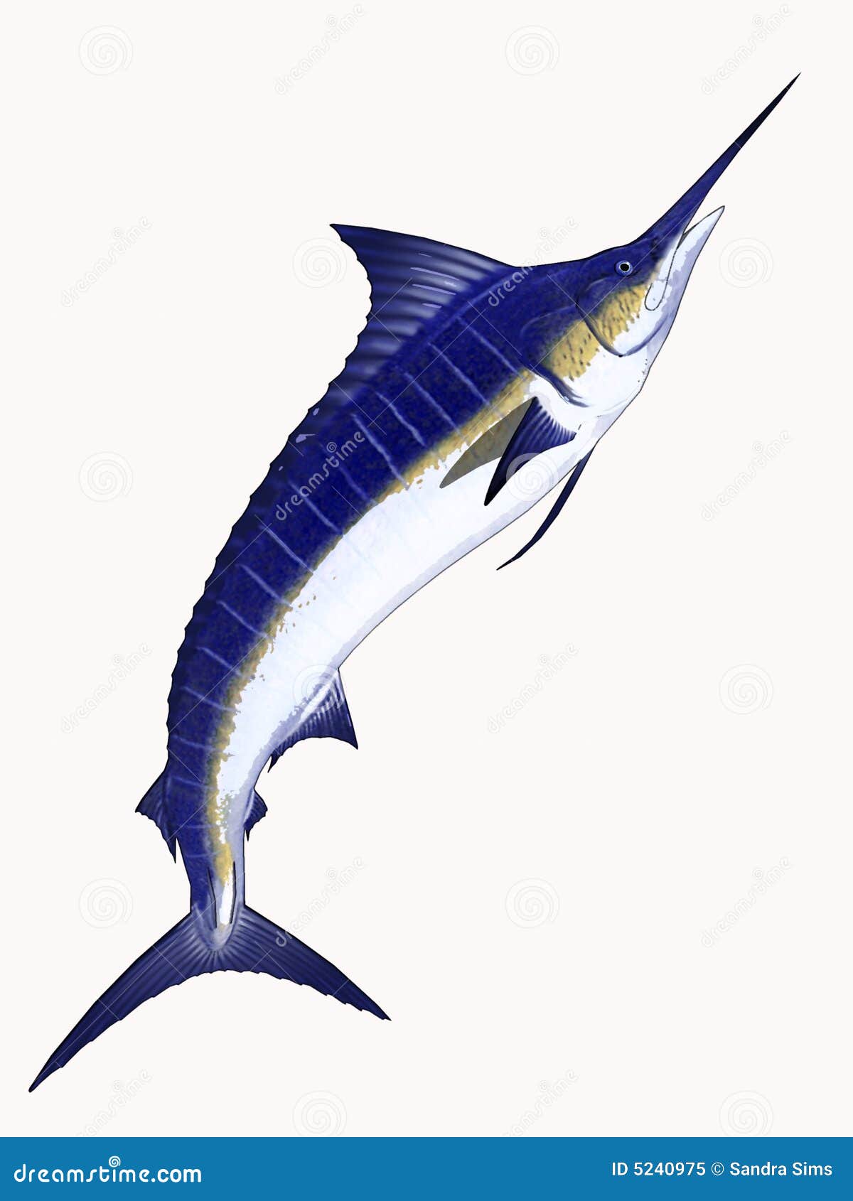 Cartoon Marlin stock illustration. Illustration of marine - 5240975