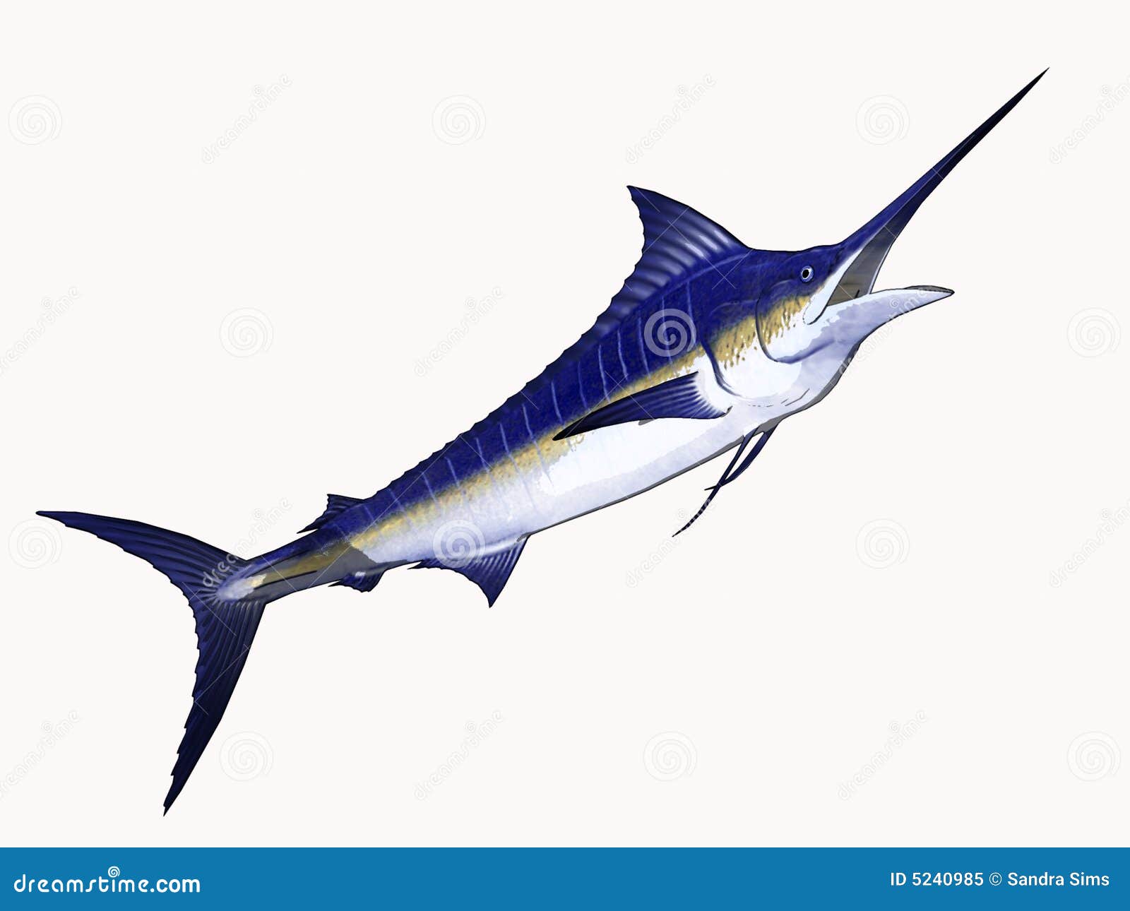 Cartoon Marlin Fish Isolated On A White Background Vector Illustration ...