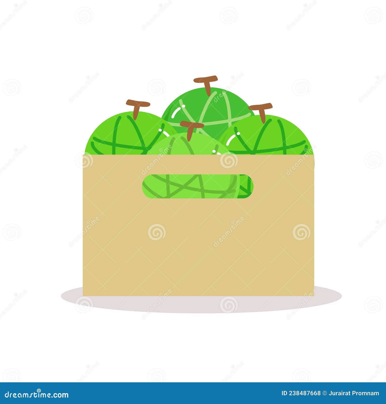 Cartoon Melon Vector on Background. Stock Vector - Illustration of ...