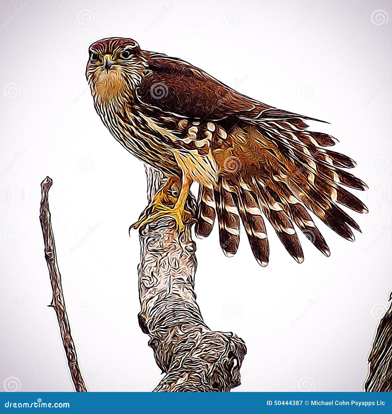 Cartoon Merlin stock illustration. Illustration of cartoon - 50444387