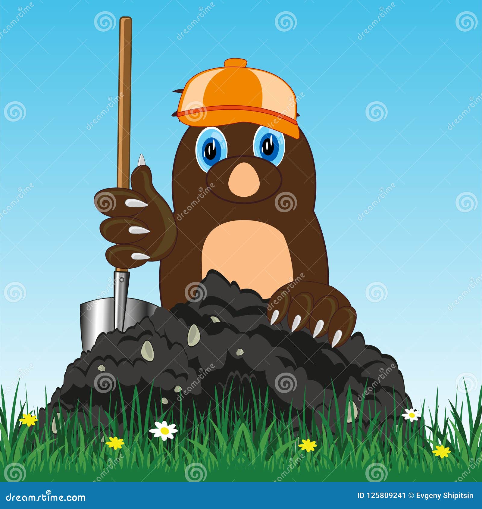 Cartoon of the Mole with Shovel Digging Land Stock Vector ...