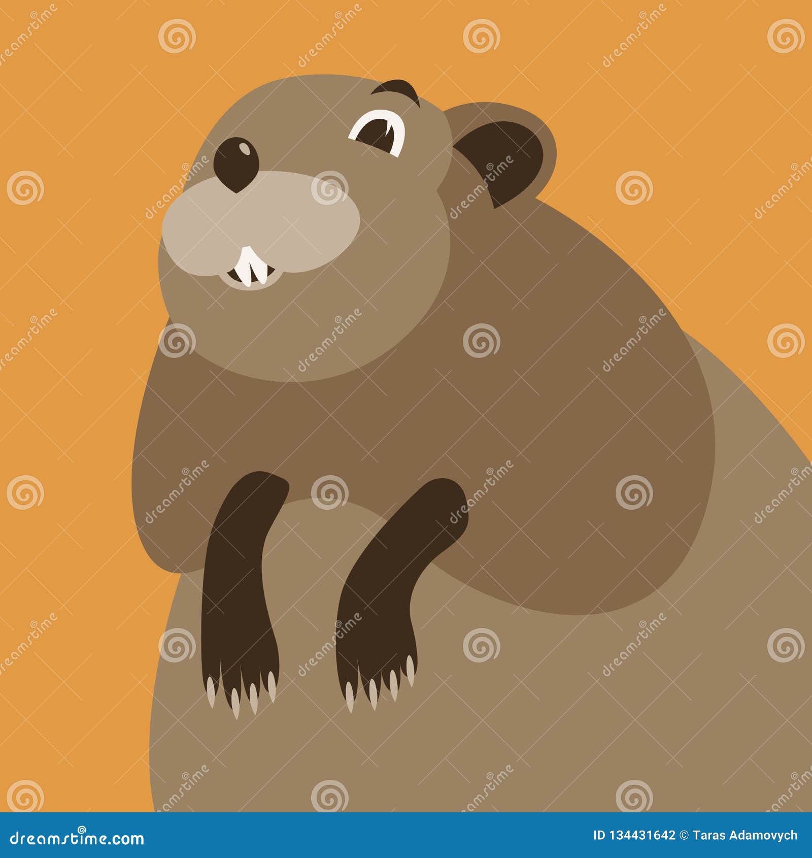 Cartoon Muskrat Face, Vector Illustration , Flat | CartoonDealer.com ...