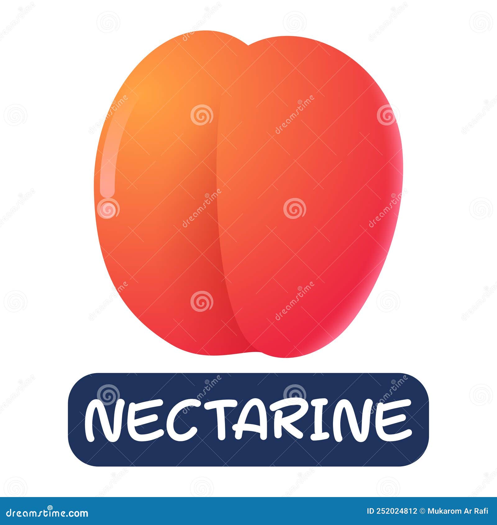 Cartoon Nectarine Fruit Vector Isolated on White Background Stock ...